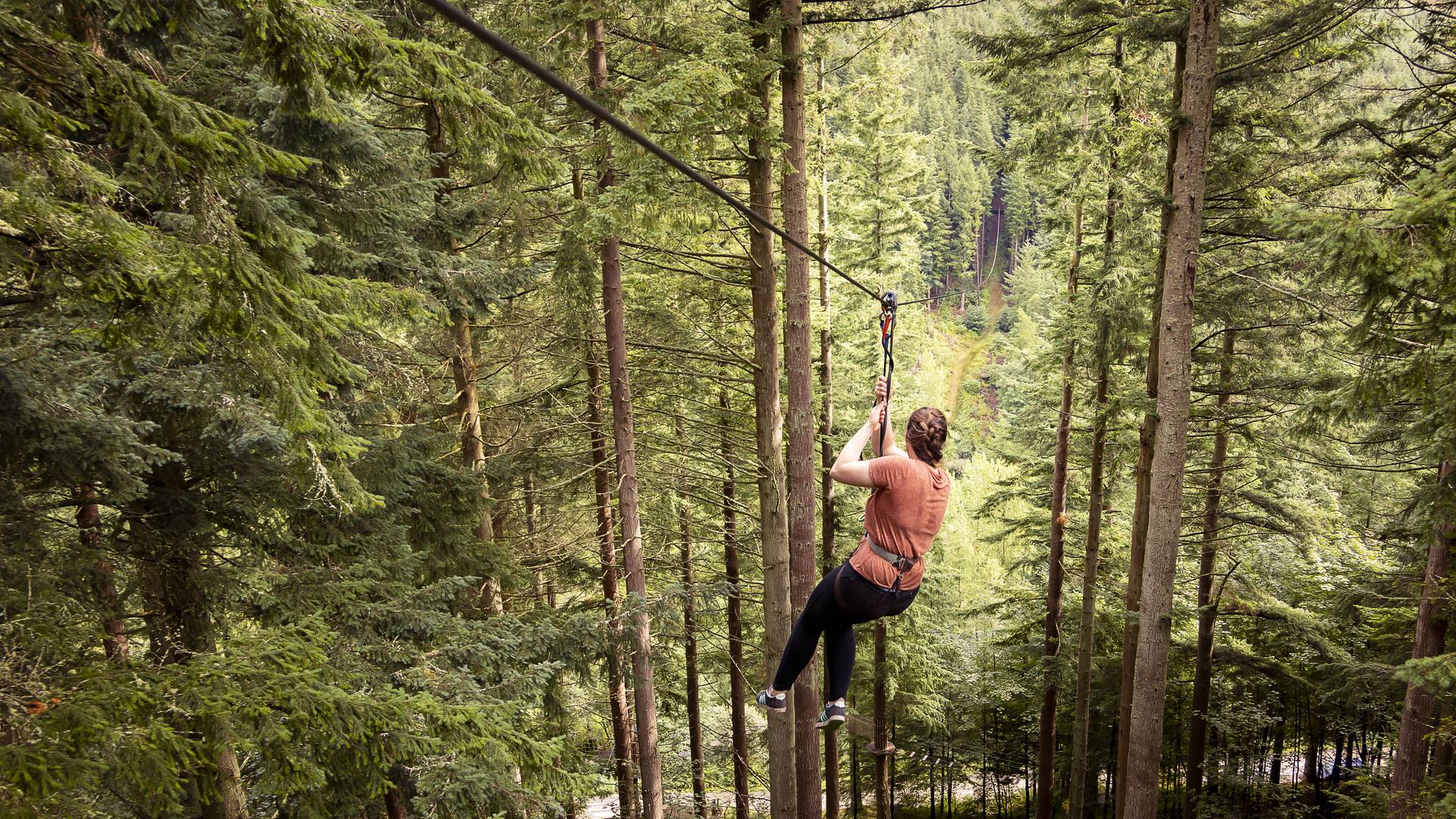 Go Ape Glentress Forest | Crabtree & Crabtree