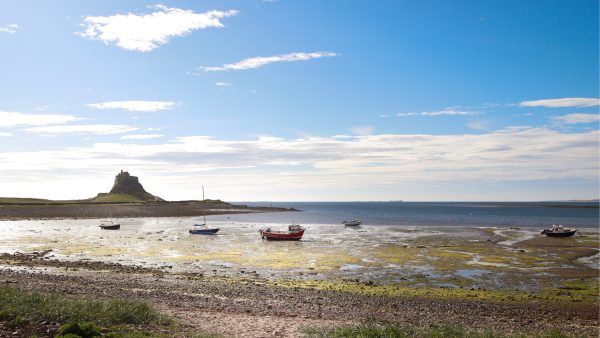 Holy Island Holiday Cottages | Crabtree & Crabtree